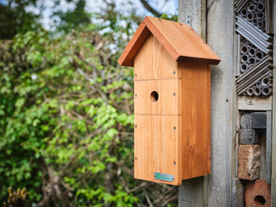 Green Feathers Wired Network 1080p HD Camera and Large Wooden Bird Box ...