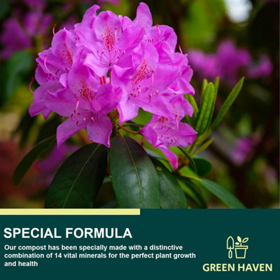 GREEN HAVEN 60L Premium Ericaceous Compost for Lime Hating Loving ...
