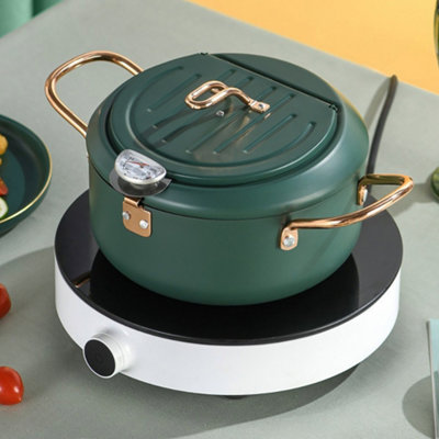 Green Japanese-style Dual-Handle Tempura Deep Frying Pot with ...