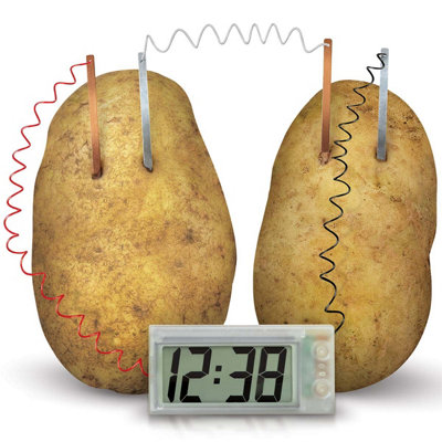 Green Science - Potato Digital Clock