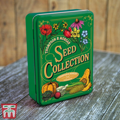 Green Seed Storage Tin 214mm x 157mm x 55mm x 1