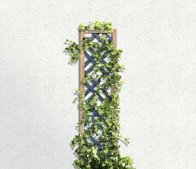 Grey Painted Lattice 0.3M Pack of 5
