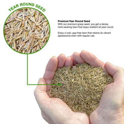 GroundMaster 5KG Hardwearing Tough Garden Premium Back Lawn Grass Seed ...