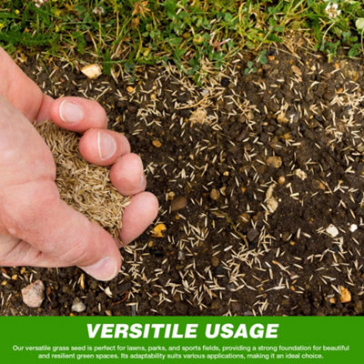 GroundMaster 5KG Hardwearing Tough Garden Premium Back Lawn Grass Seed ...