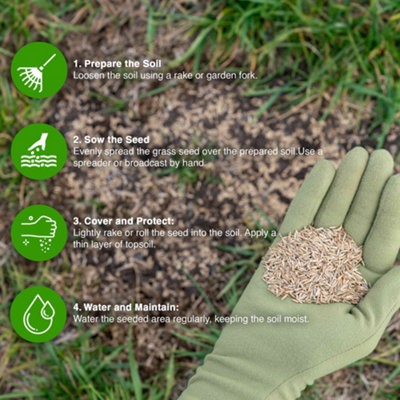 GroundMaster 5KG Hardwearing Tough Garden Premium Back Lawn Grass Seed ...
