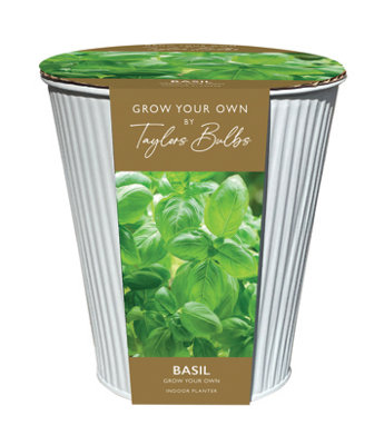 Grow Your Own Basil Herb - Indoor Zinc Planter Pot