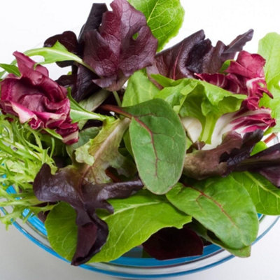 Grow Your Own Vegetable Lettuce Allsorts 1 Postiplug