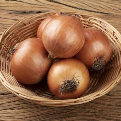 Grow Your Own Vegetables - Onion (Autumn) Champion 250g