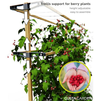 GUSTA GARDEN Berry Buddy Flexible and Expandable Wooden Trellis ...
