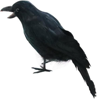 Halloween Realistic Crow, Lifesize Extra Large Handmade Black Feathered ...