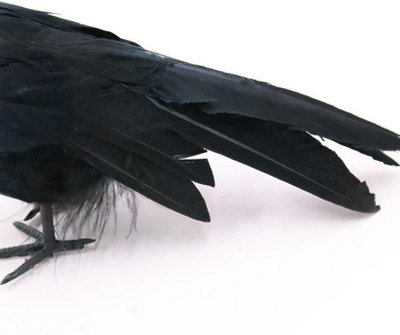 Halloween Realistic Crow, Lifesize Extra Large Handmade Black Feathered ...
