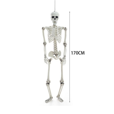 Halloween Realistic Full Body Skeleton Hanging Prop Decoration Posable ...