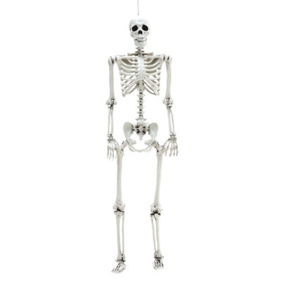 Halloween Realistic Full Body Skeleton Prop Decoration Posable Joints ...