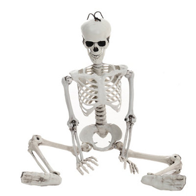 Halloween Realistic Full Body Skeleton Prop Decoration Posable Joints 90cm