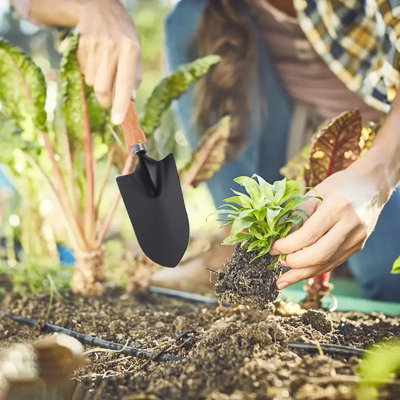 Hand Transplanter Cultivator for Pruning Digging And Weeding
