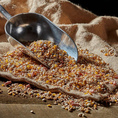 Happy Beaks No Mess Wild Bird Seed - No Grow No Husk No Waste Feed Mix ...