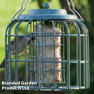 Happy Beaks The Nuttery Squirrel-Proof Oval Fat Ball/Suet Cake Bird Feeder in Ocean Green Steel ...