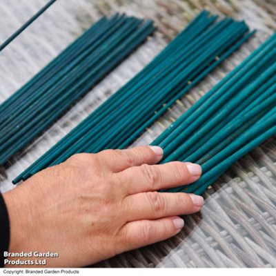 Hard Good Plant Cane (24 Inch) 60cm 1 Bundle of 100 Canes x 1 | DIY at B&Q