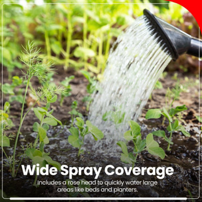 Hardys 10L Watering Can - Detachable Rose Head Sprinkler, Long Stem ...