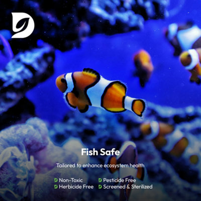 Hardys 20L Aquatic Compost - Loam Based with Sand & Grit, Nutrient Rich ...