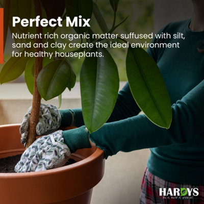 Hardys 25L Mature Plant Compost - John Innes No. 3 Final Potting ...