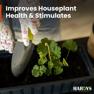 Hardys 25L Mature Plant Compost - John Innes No. 3 Final Potting ...