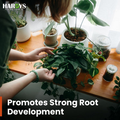 Hardys 25L Mature Plant Compost - John Innes No. 3 Final Potting ...