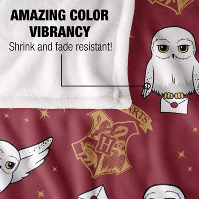 Harry Potter Letter Hedwig Blanket Multicoloured (One Size)