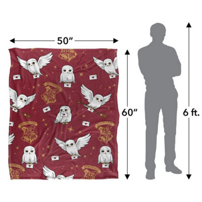 Harry Potter Letter Hedwig Blanket Multicoloured (One Size)