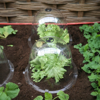 Haxnicks 2 x King size Victorian Bell Garden Cloche Plastic Plant ...