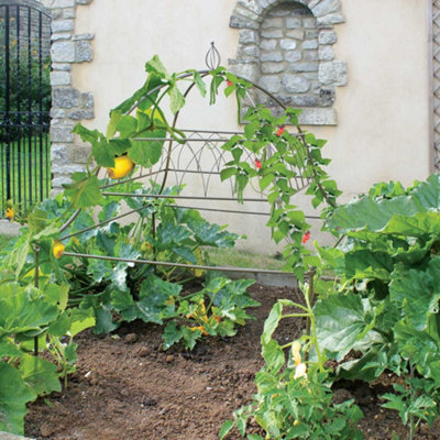 Haxnicks Square Ornamental Plant Support Frame 1m x 1m x 1.2m ...