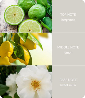 Heart and Home Pink Guardian Angel Reed Diffuser - 70ml - Up to 12 ...