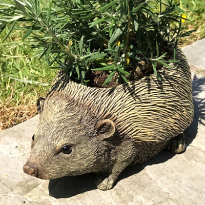 Hedgehog shaped planter, great for herbs, alpines or succulents ...