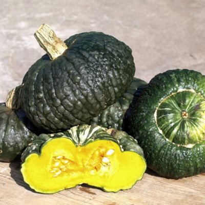 Heirloom Squash Marina di Chioggia Large 5kg Sweet Orange Flesh ...