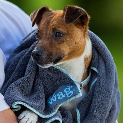 Henry Wag Microfibre Cleaning Towel For Dogs Cloth - Small Size