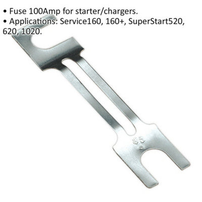 High-Performance 100 Amp Automotive Fuse for Car Starters and Chargers