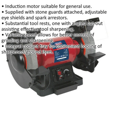 High-Performance 200mm Variable Speed Bench Grinder with 550W Induction ...