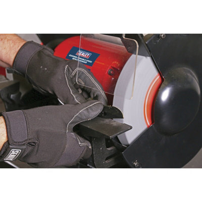 High-Performance 200mm Variable Speed Bench Grinder with 550W Induction ...