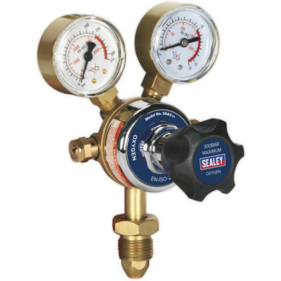 High-Performance Twin Gauge Oxygen Regulator with Bull Nose Adaptor and ...