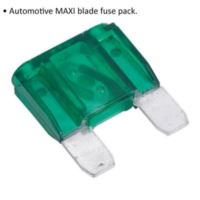 High-Quality 30A MAXI Blade Fuse Pack - 10 Count for Automotive Circuit ...