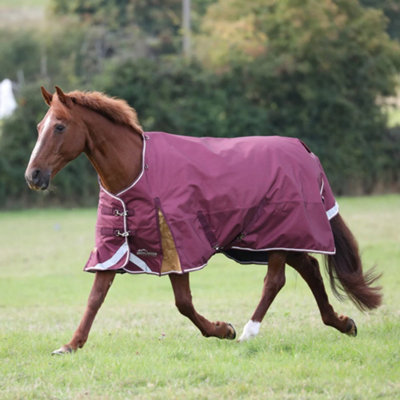 Highlander Plus Standard-Neck 100g Horse Turnout Rug Maroon (5)