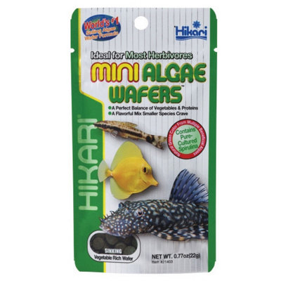 Hikari Mini Algae Wafers Fish Food Pleco Catfish Tropical Wafers 22g
