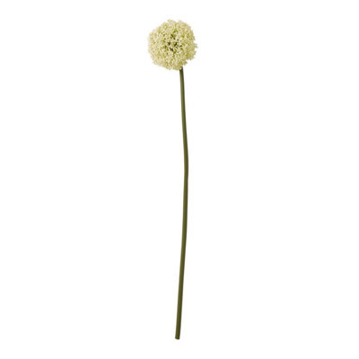 Hill Interiors Allium Stem Artificial Plant Cream (80cm)