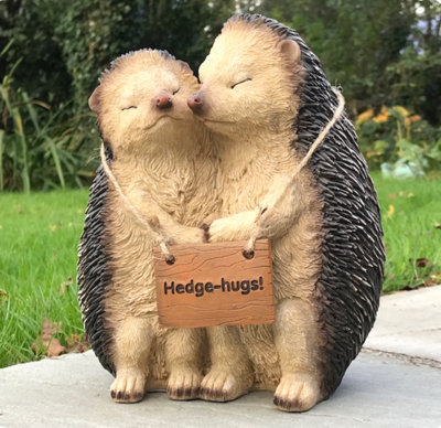 Holly & Harry Hugging Hedgehogs with removable Hedge-Hugs sign at B&Q