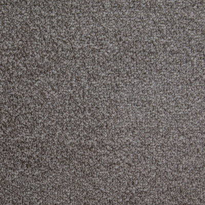 Homely Bleach Cleanable Deep Pile Carpet by Remland (Tranquil, 2m x 4m)