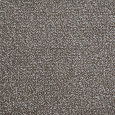 Homely Bleach Cleanable Deep Pile Carpet by Remland (Welcoming, 3m x 5m ...