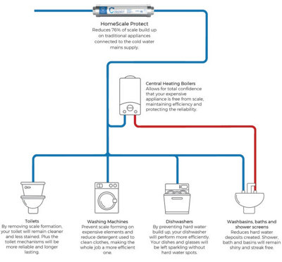 Homescale Protect Inline Lime Scale Reducer 1/2"