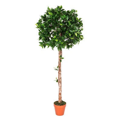 Homescapes Artificial Green Handcrafted Ficus Topiary Tree with Pot ...