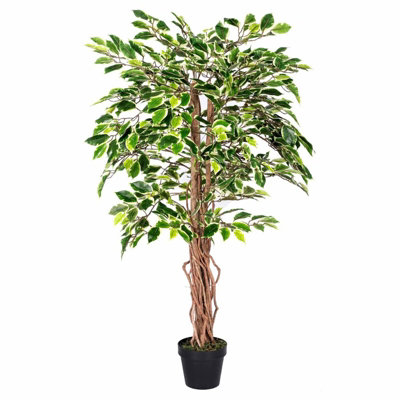 Homescapes Artificial Green Handcrafted Variegated Ficus Tree with Real ...