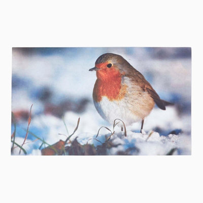 Homescapes Recycled Rubber Printed Winter Robin Doormat | DIY at B&Q